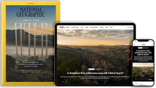 National Geographic Gift Subscriptions | National Geographic