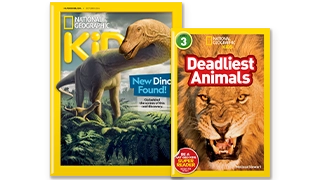 National Geographic Magazine Subscriptions | National Geographic