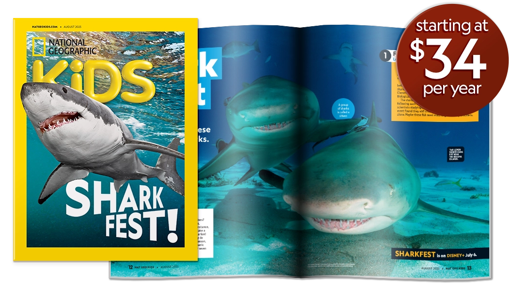 National Geographic Kids Magazine Subscription | National Geographic