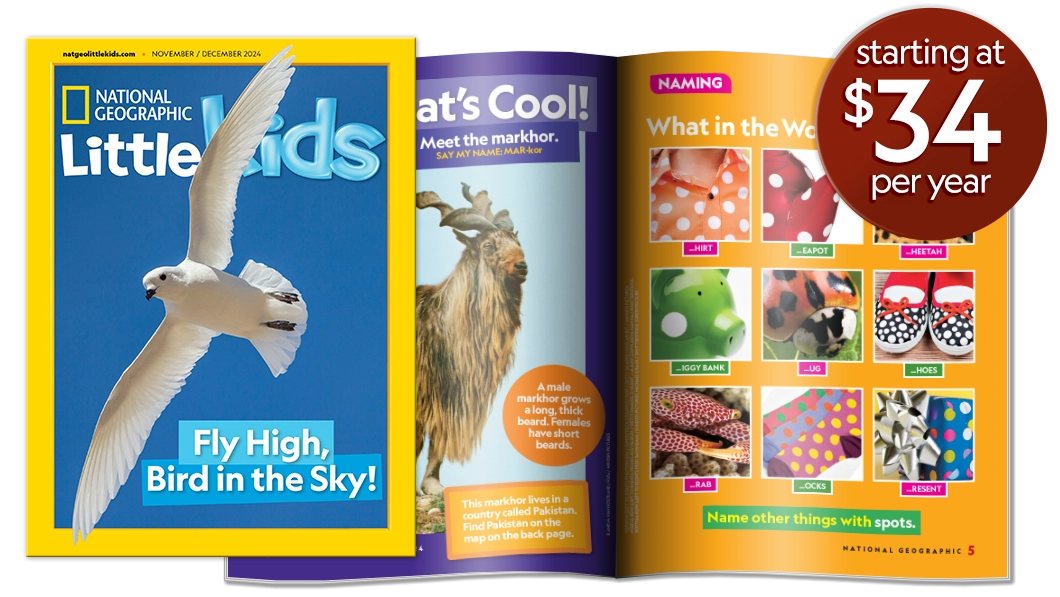 National Geographic Little Kids Magazine Subscription | National Geographic