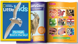 National Geographic Gift Subscriptions | National Geographic